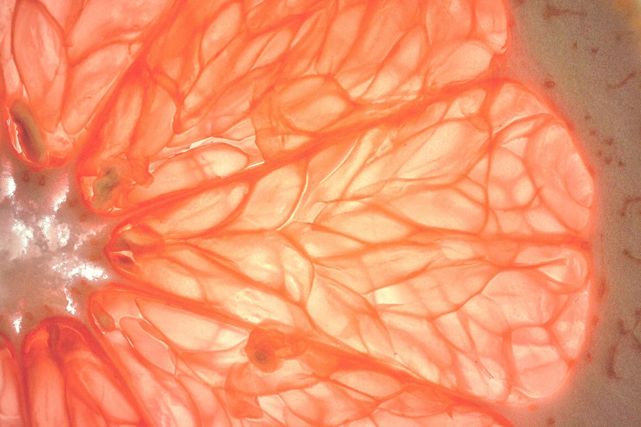 The Sweet, Tart History of Citrus