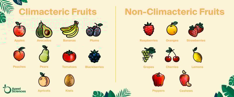 Why (and How) Does Produce Ripen?