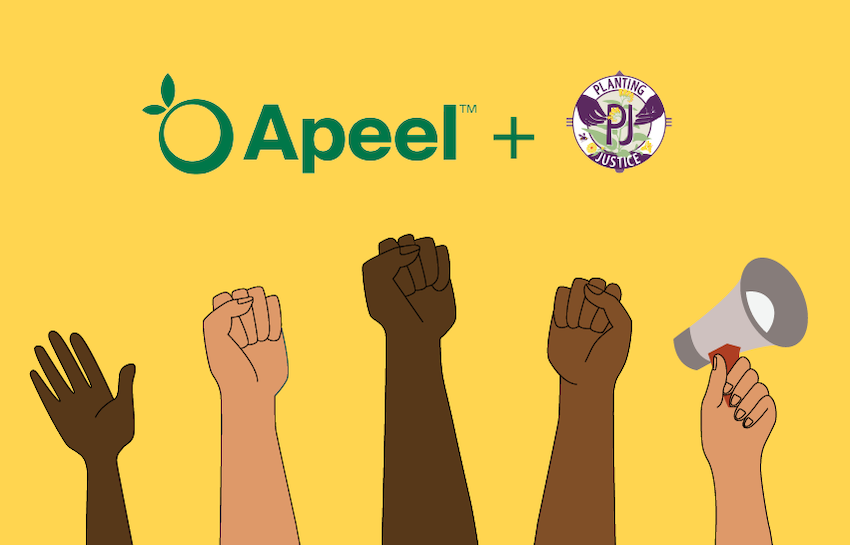 Interviews with Change-Makers: Meet Planting Justice