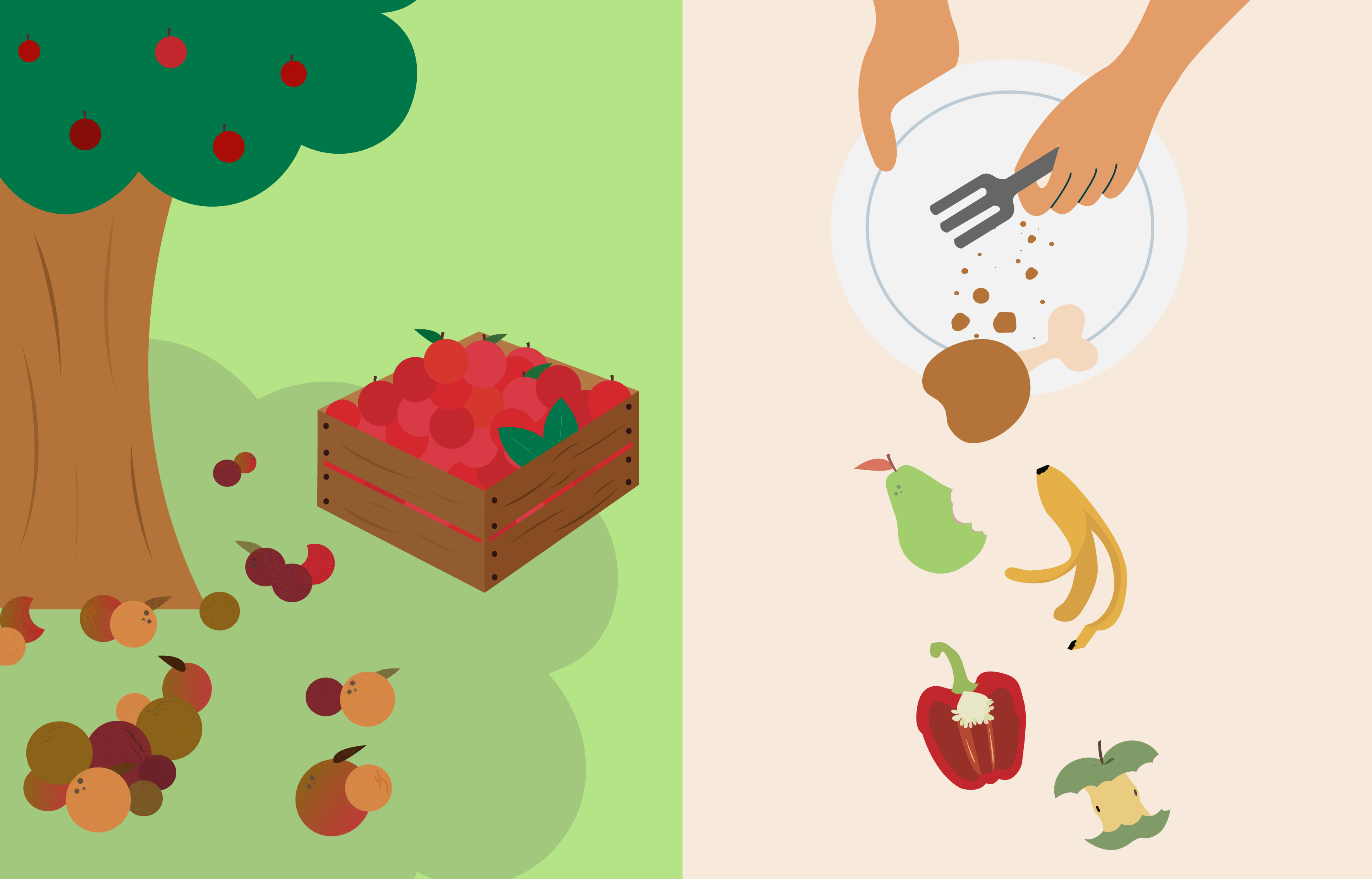 Food Loss vs. Food Waste