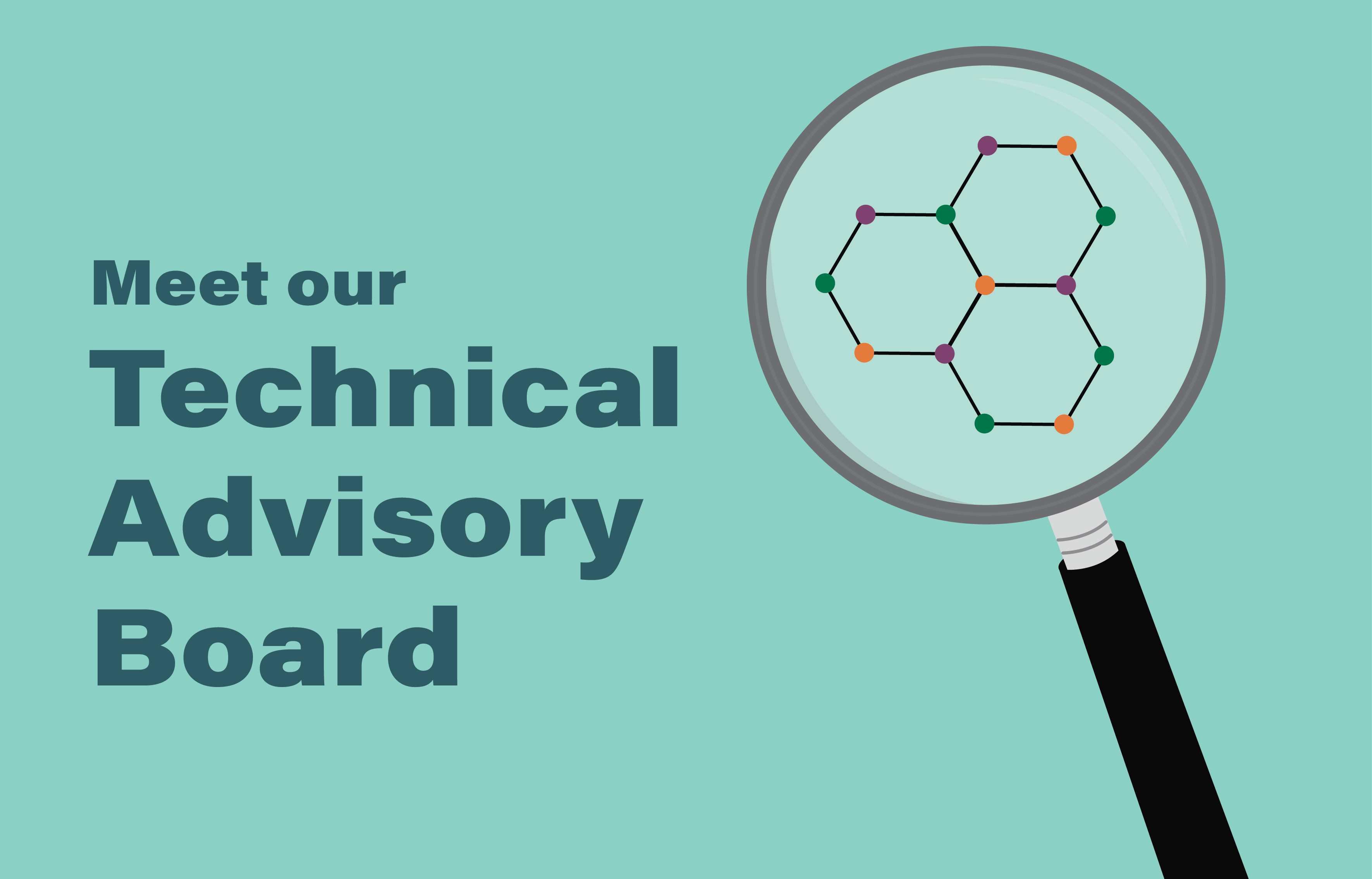 Meet Our Technical Advisory Board