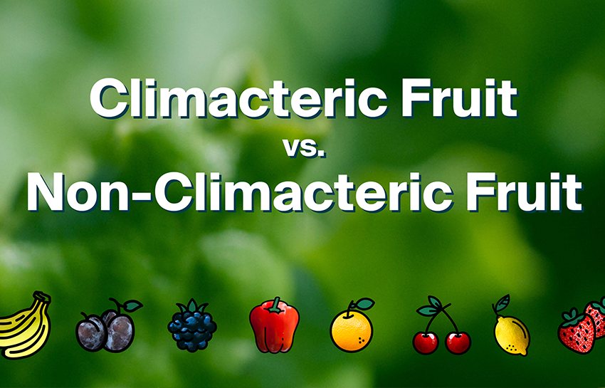 Why (and How) Does Produce Ripen?